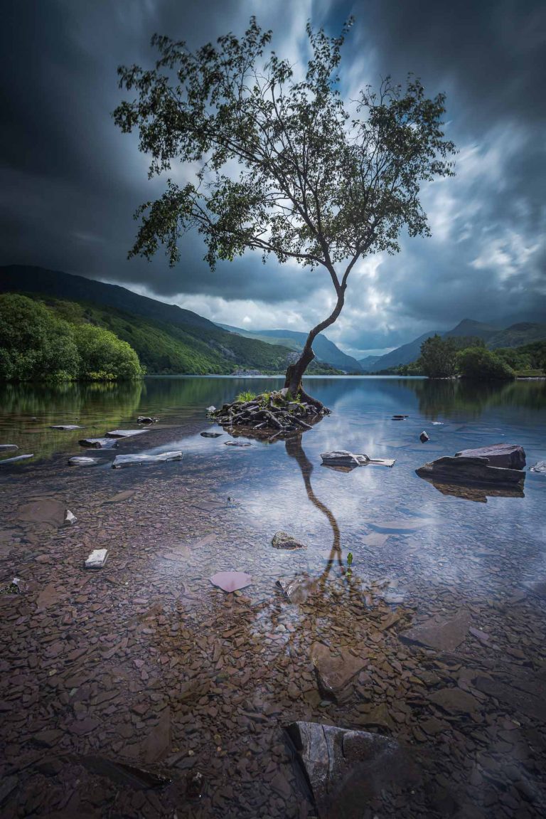 The Lone Tree, Llyn Padarn, Wales | BRADHAMERPHOTO
